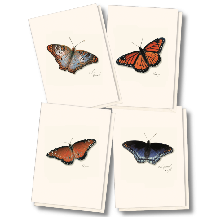 Boxed Notecards, Butterfly Assortment | Snowy Owl Museum Store
