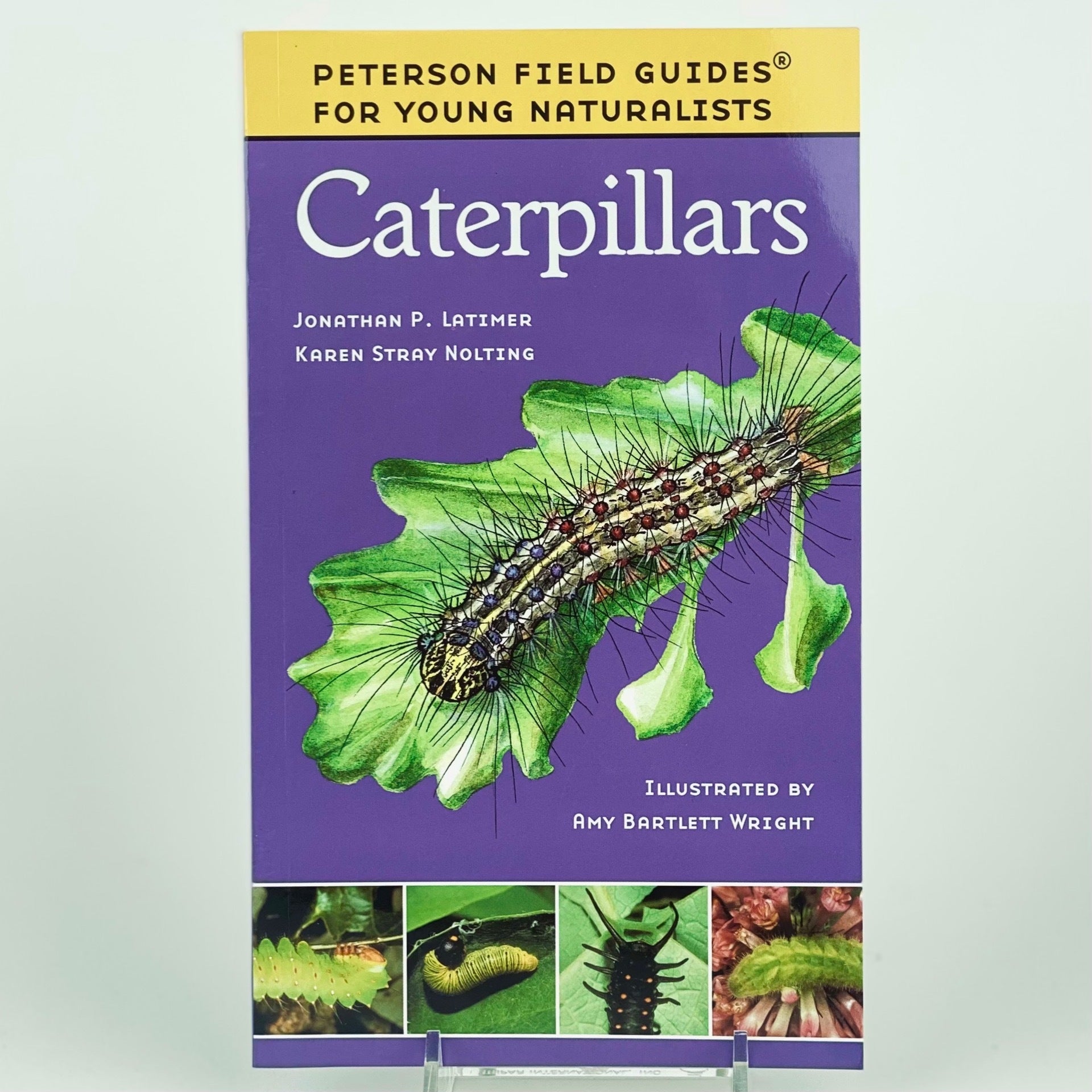 Peterson Field Guides for Young Naturalists - Caterpillars | Snowy Owl ...
